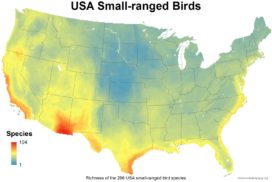 Mapping the Diversity of Birds in the USA