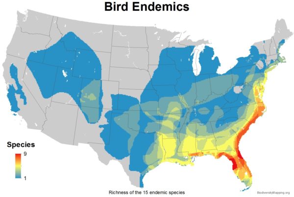 Mapping the Diversity of Birds in the USA