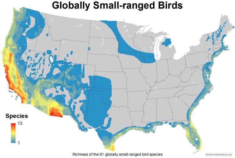 Mapping the Diversity of Birds in the USA