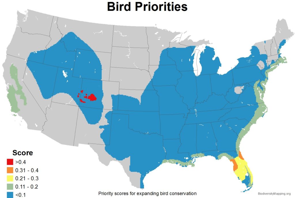 Mapping the Diversity of Birds in the USA