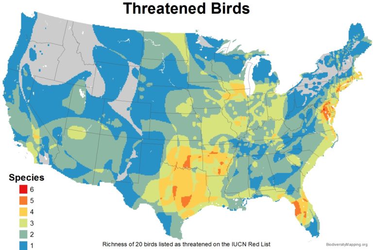 Mapping the Diversity of Birds in the USA