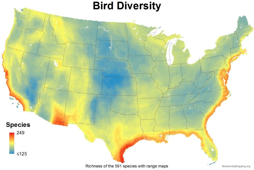 Mapping the Diversity of Birds in the USA