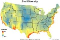 Mapping the Diversity of Birds in the USA