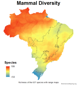 Mapping the Diversity of Mammals in Brazil
