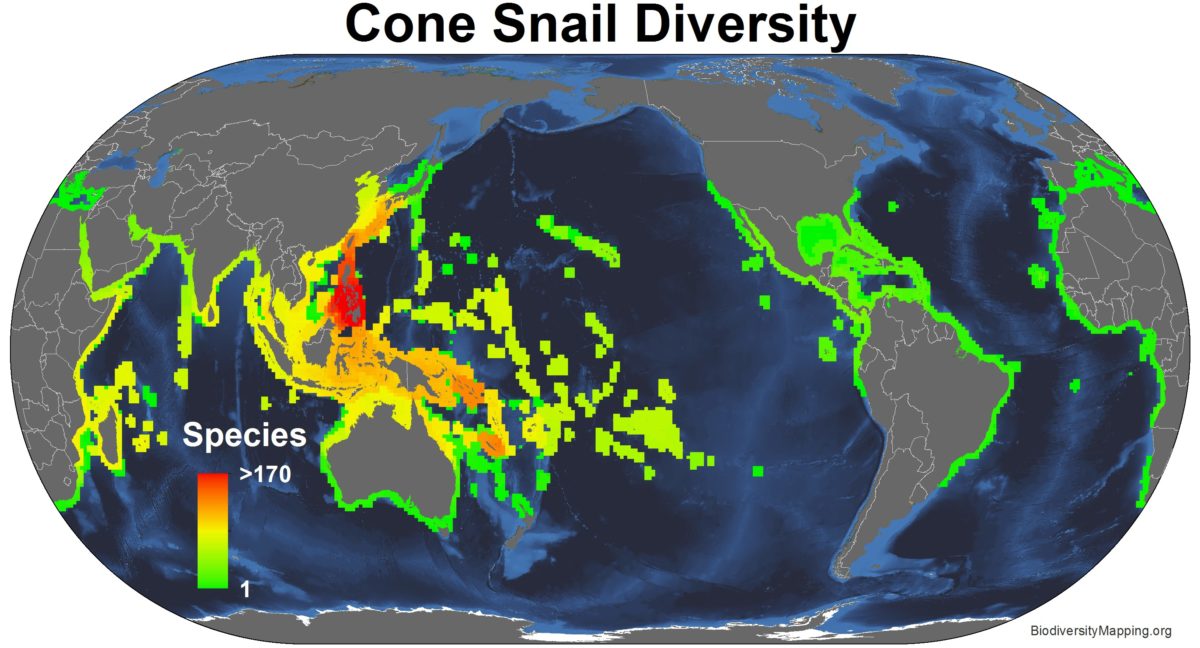 Mapping the Diversity of the World's Cone Snails