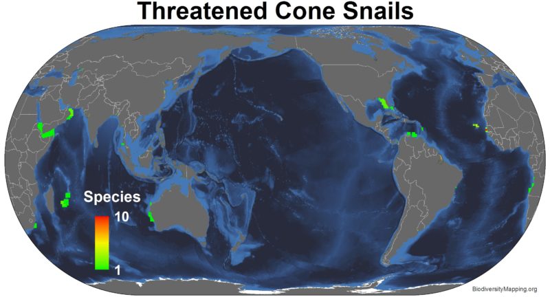 Mapping the Diversity of the World's Cone Snails