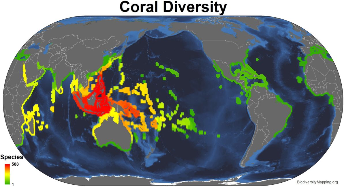 Mapping the Diversity of the World's Corals