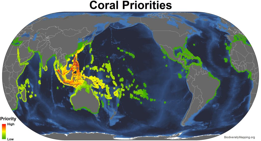 Mapping the Diversity of the World's Corals