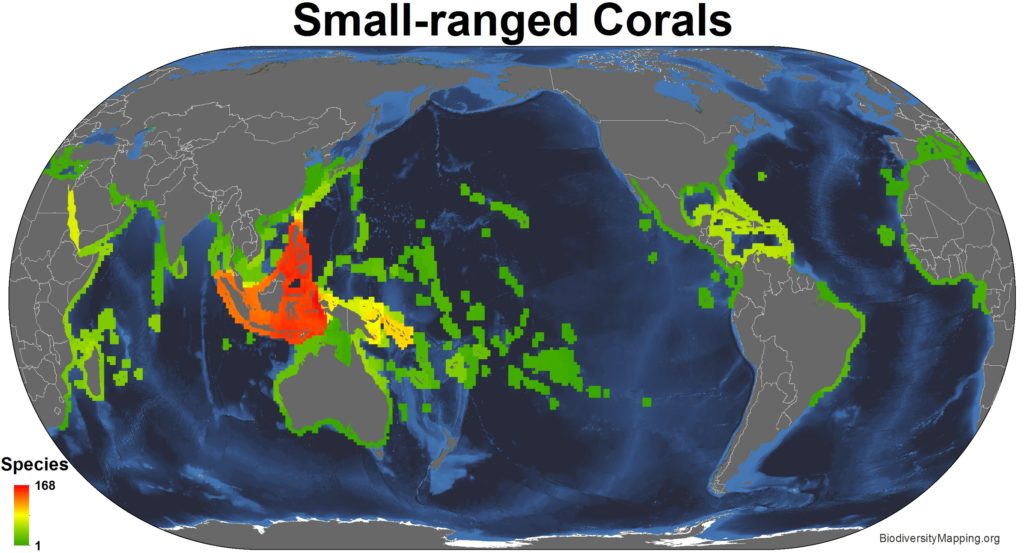 Mapping the Diversity of the World's Corals