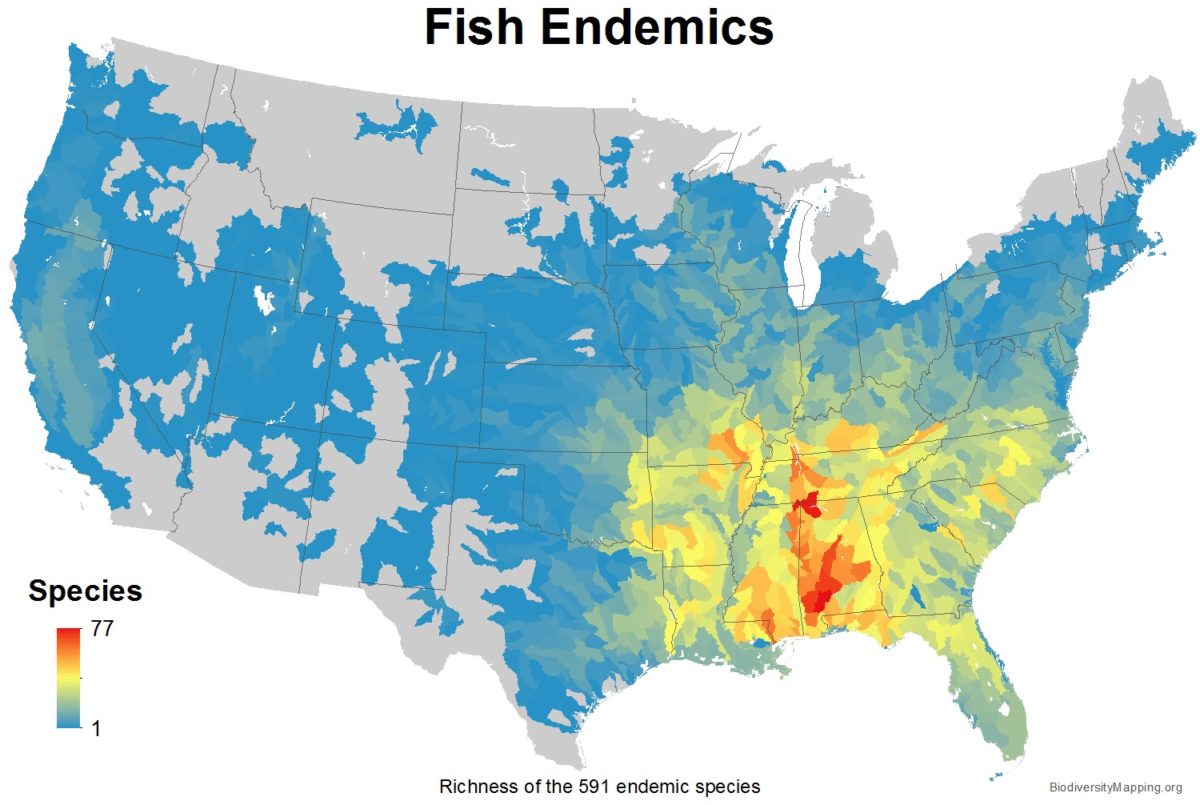 Mapping the Diversity of Fish in the USA