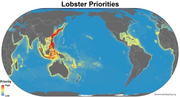 Mapping the Diversity of the World's Lobsters