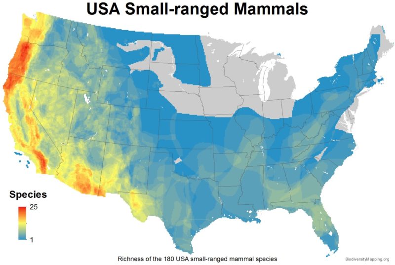 Mapping the Diversity of Mammals in the USA