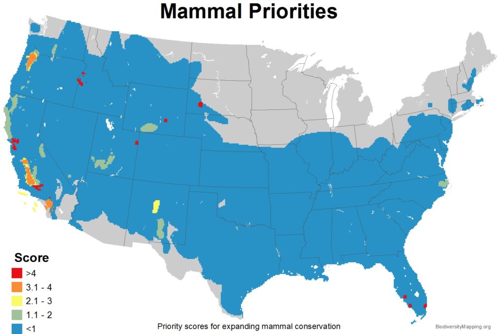 Mapping the Diversity of Mammals in the USA