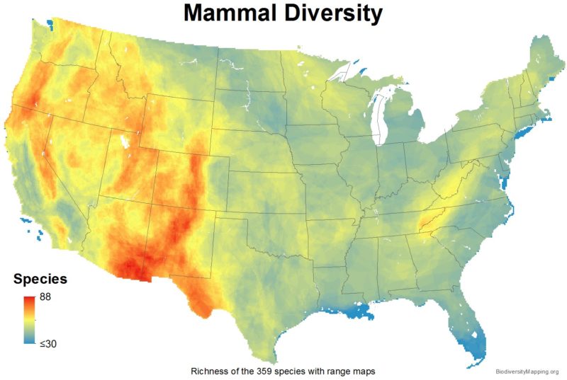 Mapping the Diversity of Mammals in the USA