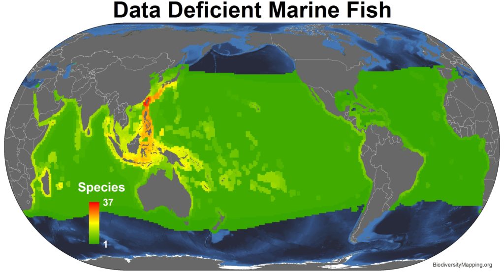 Mapping the Diversity of the World's Marine Fishes