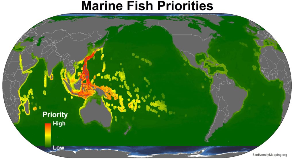 Mapping the Diversity of the World's Marine Fishes