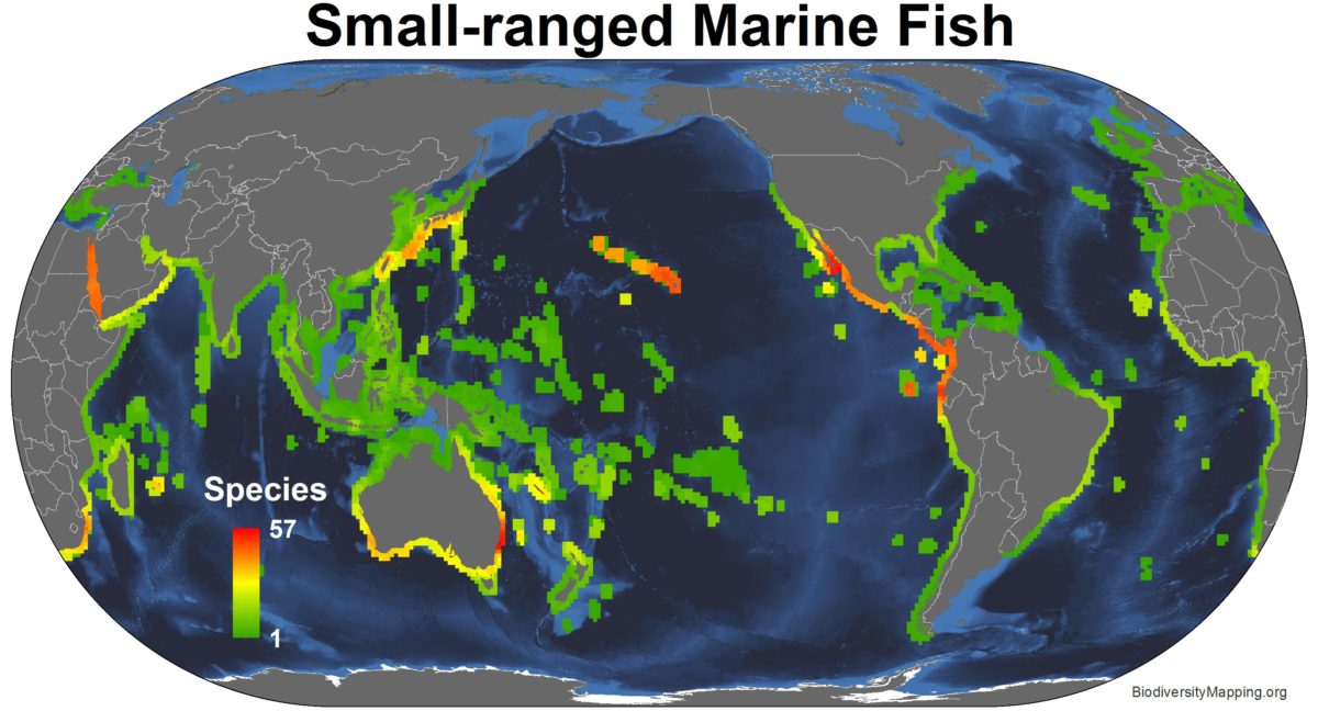 Mapping the Diversity of the World's Marine Fishes