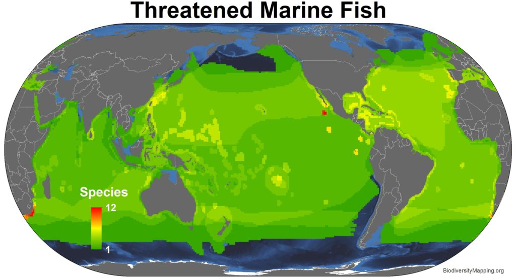 Mapping the Diversity of the World's Marine Fishes