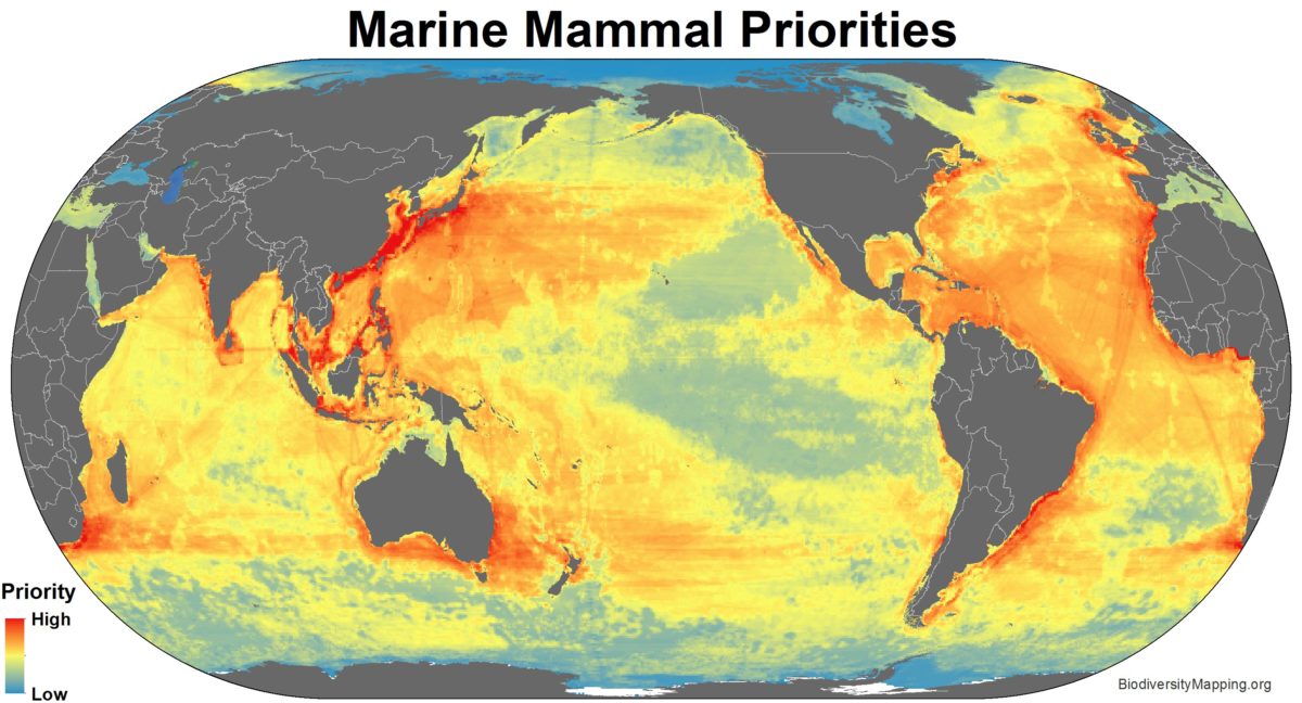 Mapping the Diversity of the World's Marine Mammals