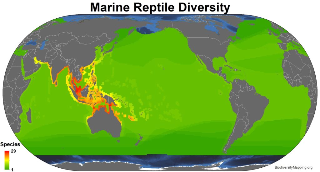 Mapping the Diversity of the World's Marine Reptiles