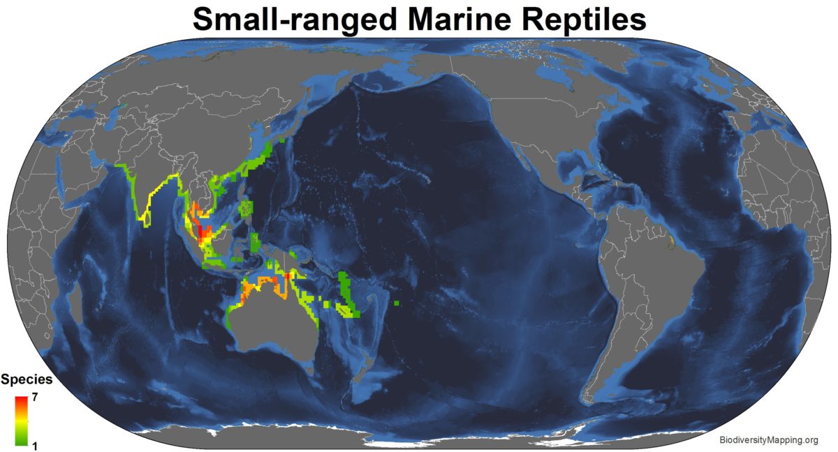 Mapping the Diversity of the World's Marine Reptiles