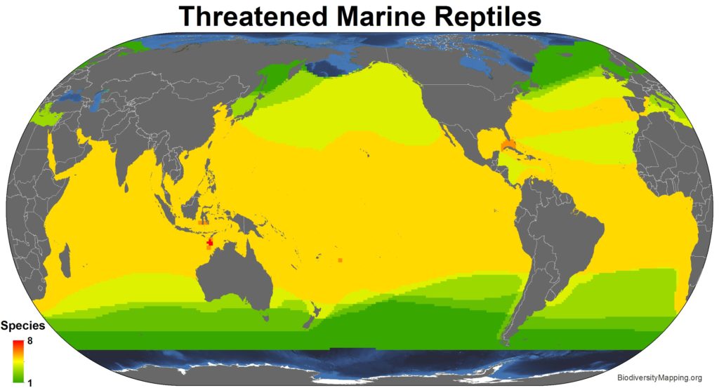 Mapping the Diversity of the World's Marine Reptiles
