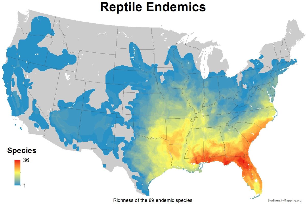 Mapping the Diversity of Reptiles in the USA