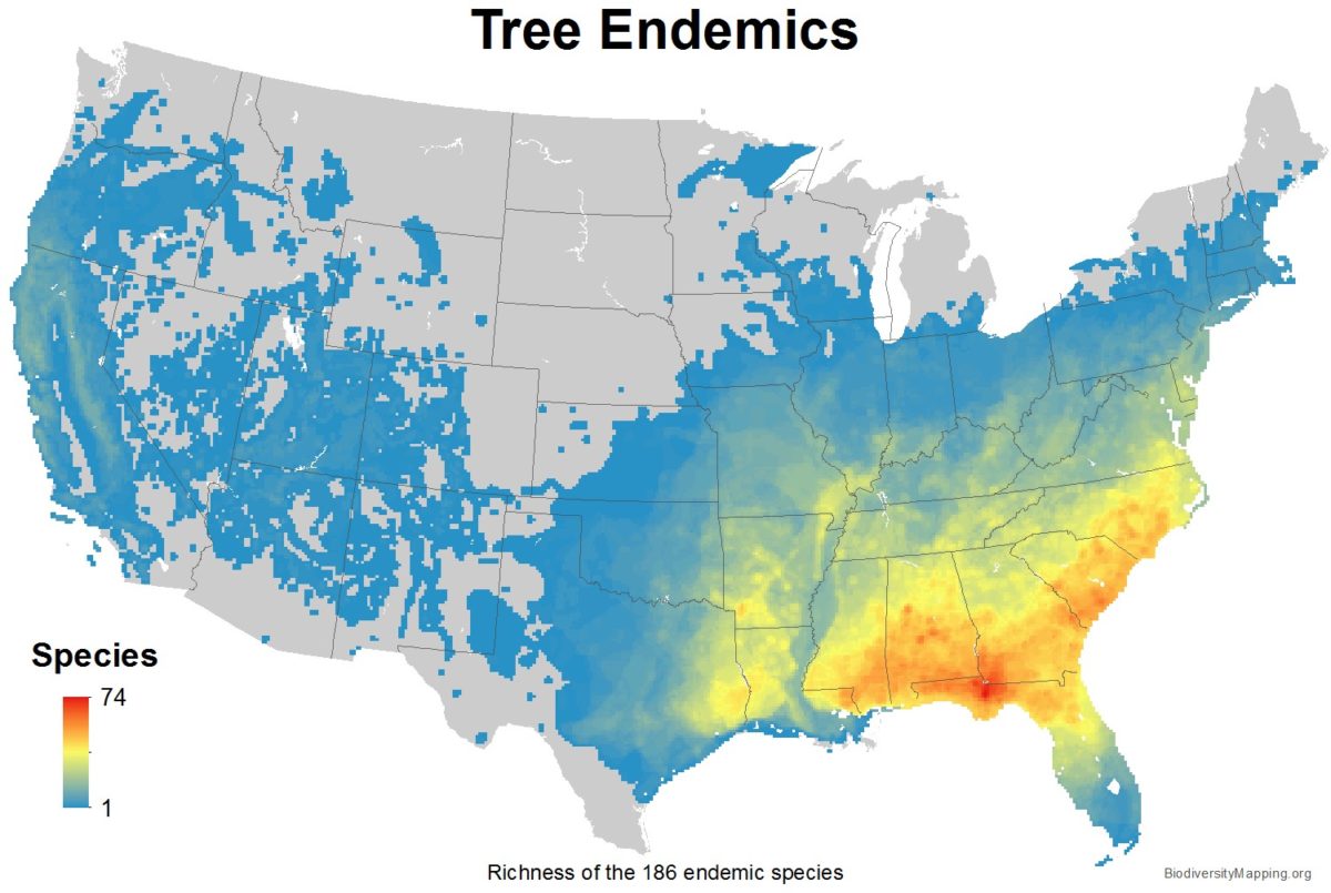 Mapping the Diversity of Trees in the USA