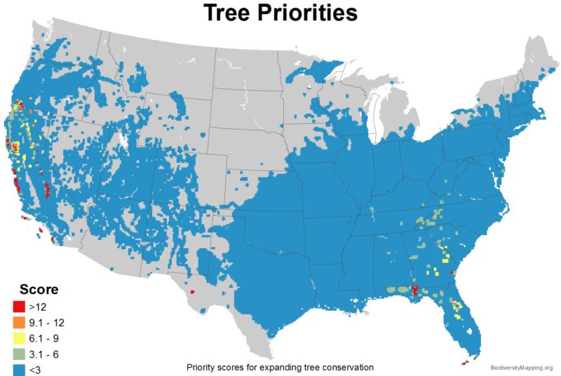 Mapping the Diversity of Trees in the USA