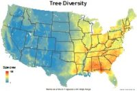 Mapping the Diversity of Trees in the USA