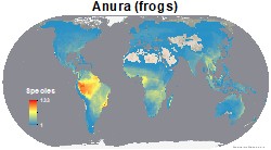 Mapping the World's Amphibian Diversity