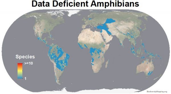 Mapping the World's Amphibian Diversity