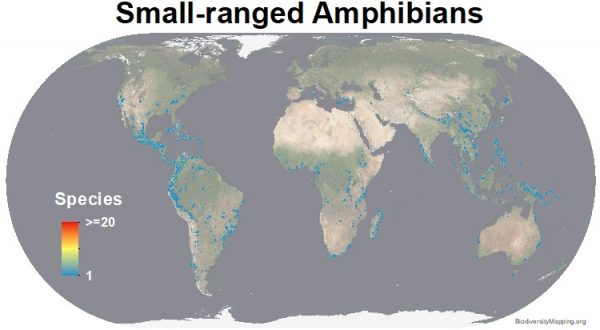Mapping the World's Amphibian Diversity