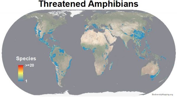 Mapping the World's Amphibian Diversity