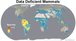 Mapping the World's Mammal Diversity