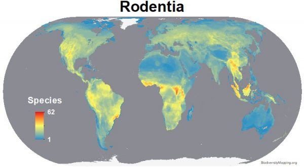 Mapping the World's Mammal Diversity