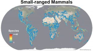 Mapping the World's Mammal Diversity