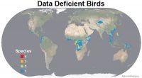 Mapping the World's Bird Diversity