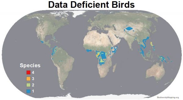 Mapping the World's Bird Diversity