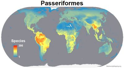 Mapping the World's Bird Diversity