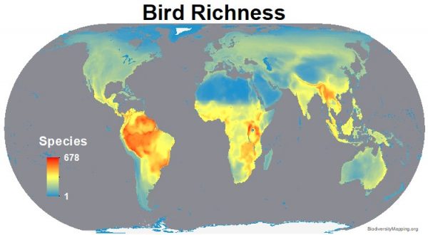 Mapping the World's Bird Diversity