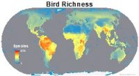 Mapping the World's Bird Diversity