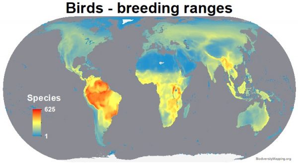 Mapping the World's Bird Diversity