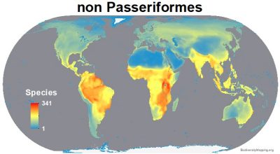 Mapping the World's Bird Diversity