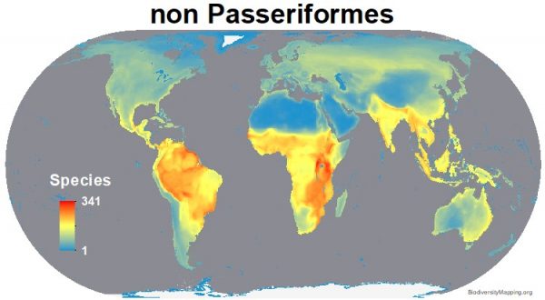 Mapping the World's Bird Diversity
