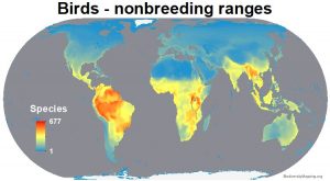 Mapping the World's Bird Diversity
