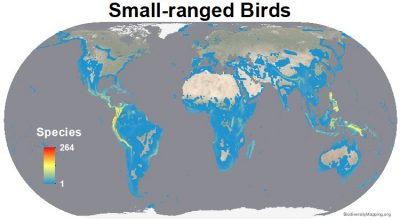 Mapping the World's Bird Diversity