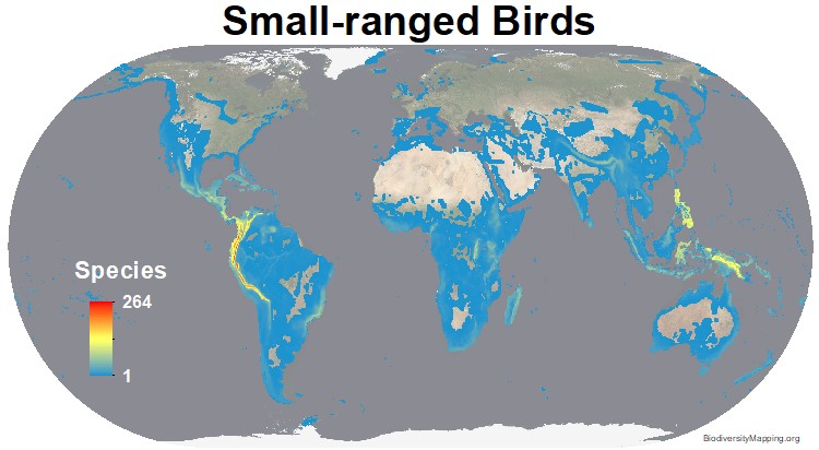 Mapping the World's Bird Diversity