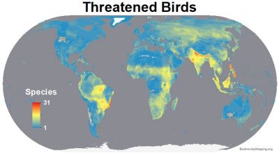 Mapping the World's Bird Diversity